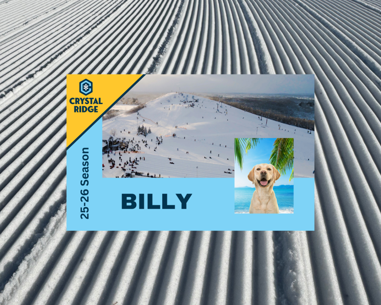 SEASON PASSES ARE ON SALE! | Crystal Ridge